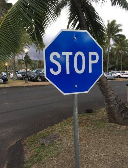 What Does a Blue Stop Sign Mean? The Truth Behind This Unusual Road ...